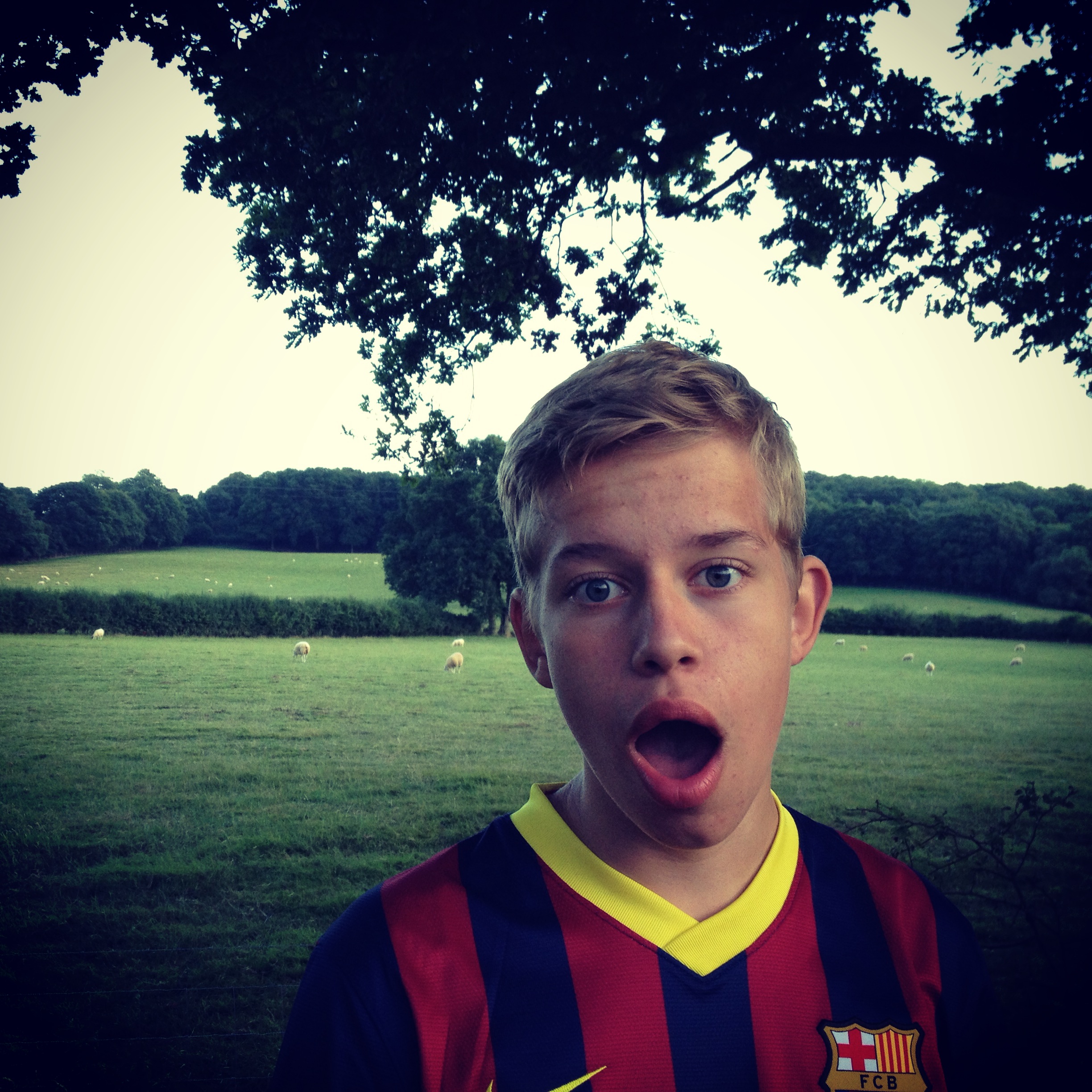 De Grote Mees Quiz - Default theme